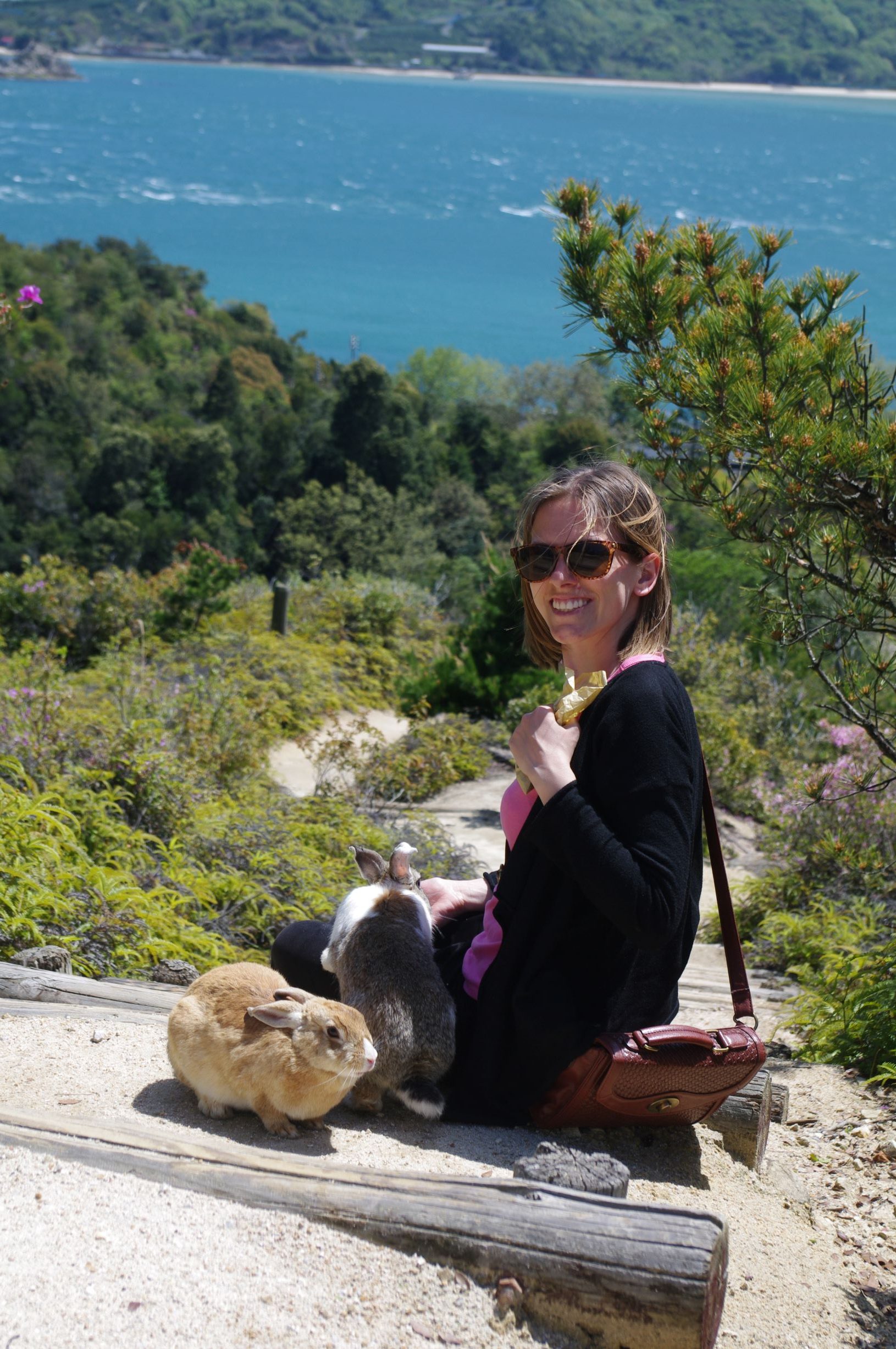 Visiting Rabbit island in Japan aka Ōkunoshima - The Grown-Up Gap Year