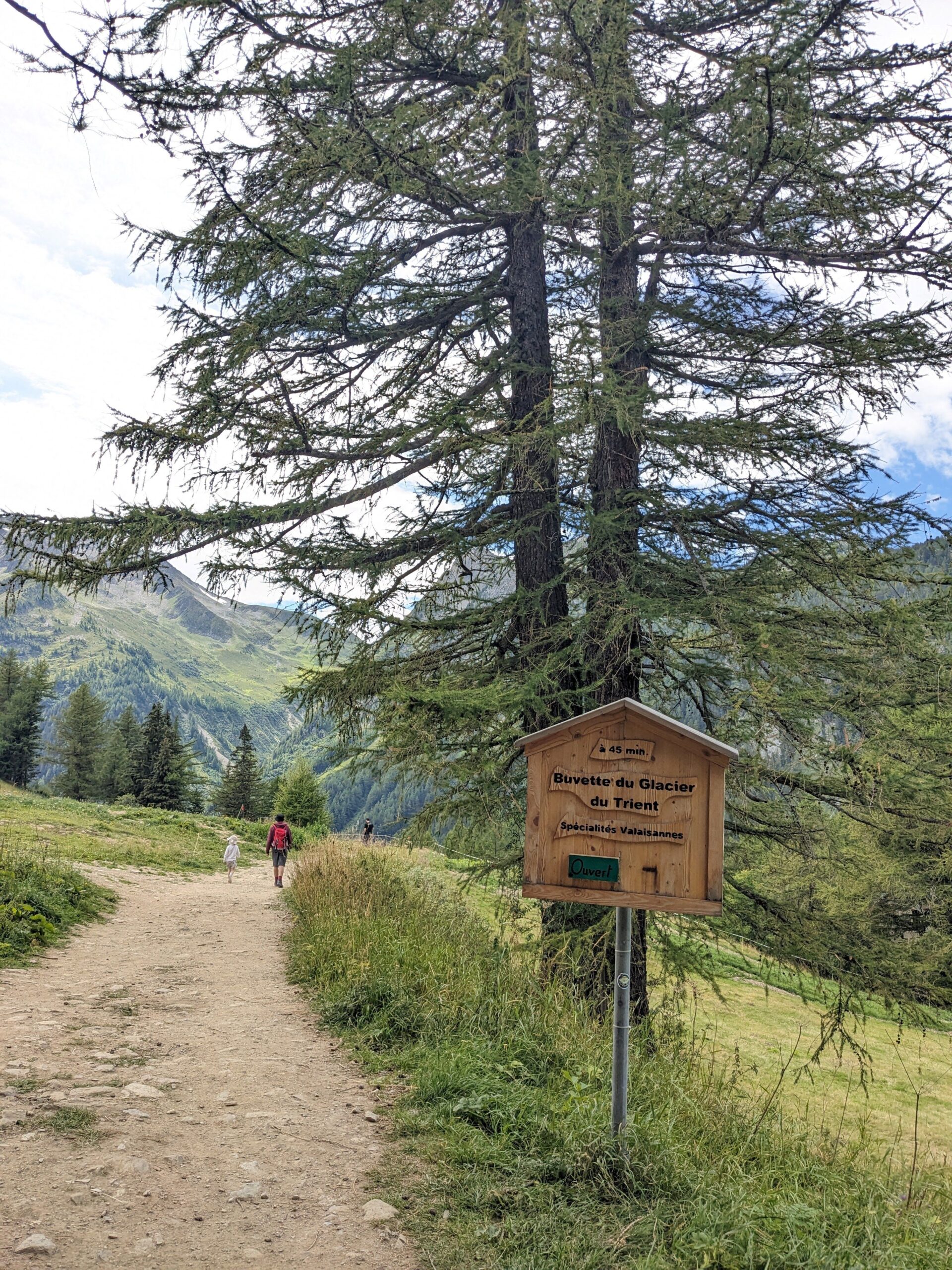 Hiking the Bisse du Trient in Switzerland: A perfect family adventure ...
